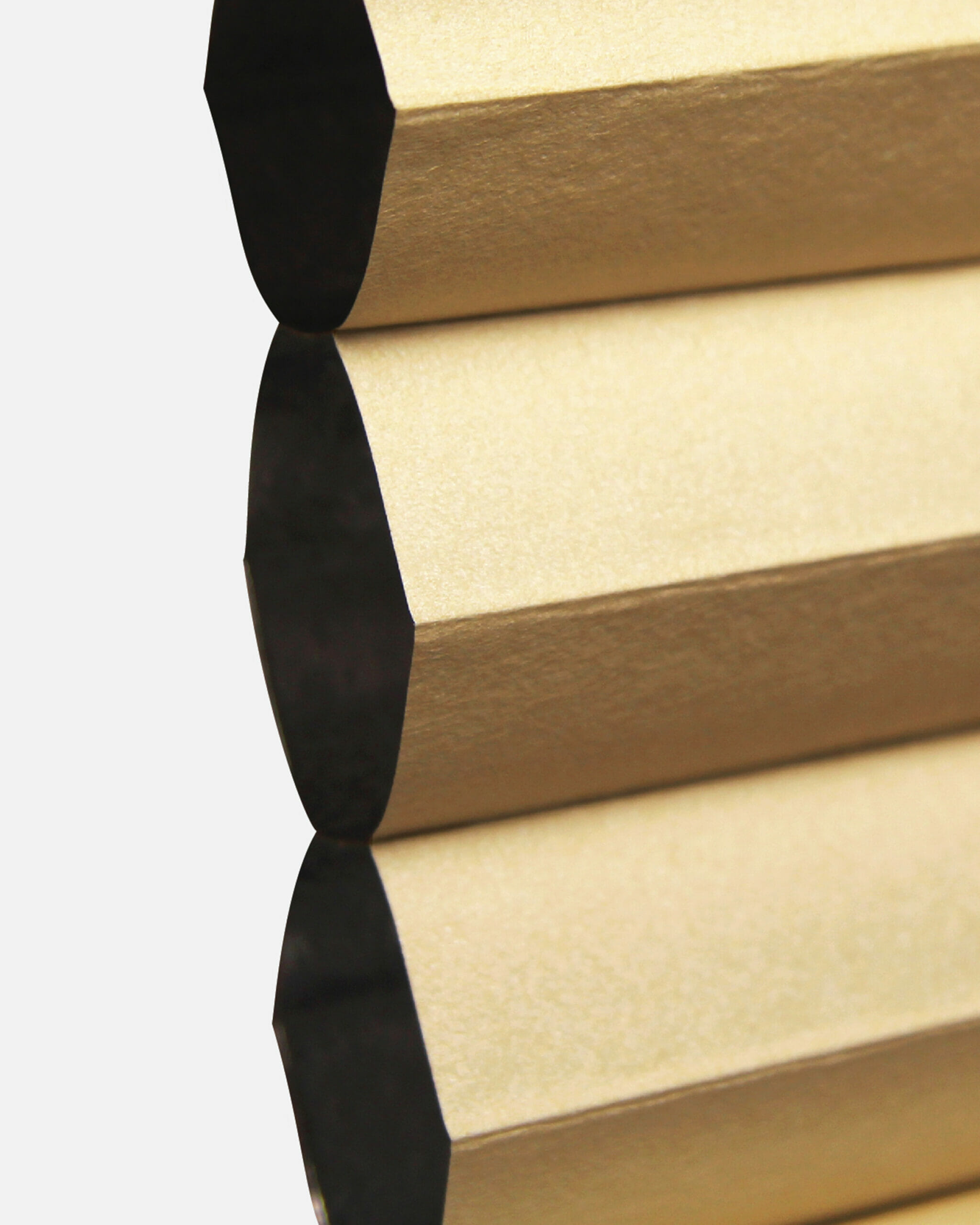 Essentials (BO) - Turnils Canada